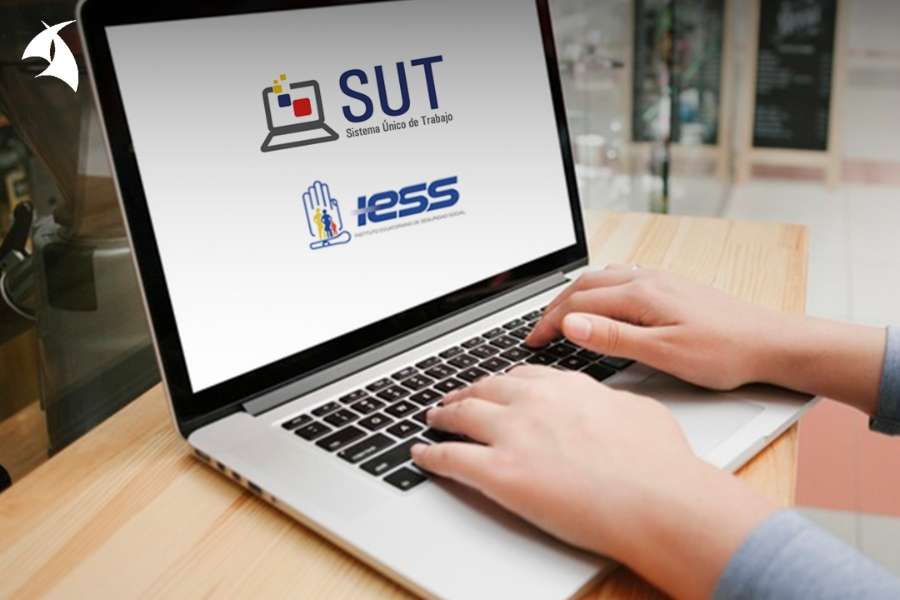 Curso Online | Actualización IESS – SUT – MDT